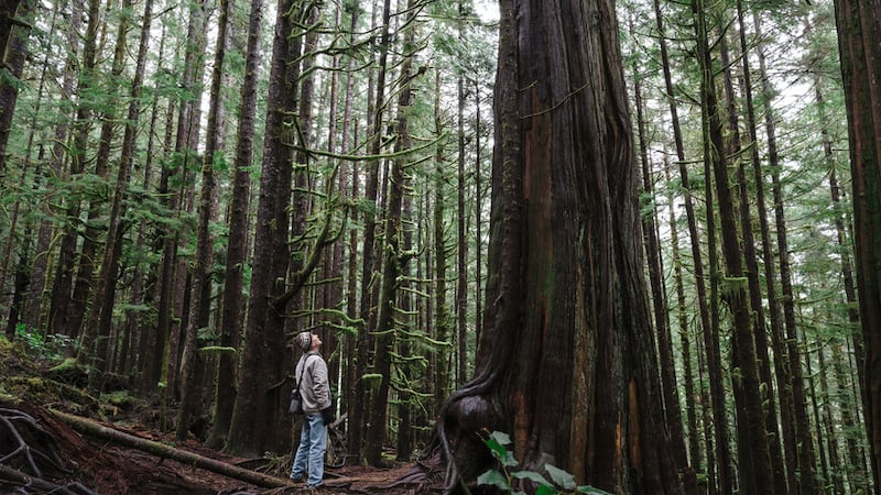 What Is Personal Development and Why Is It Important?