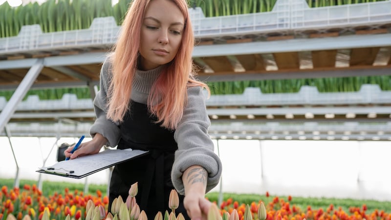 What Is Personal Development and Why Is It Important?