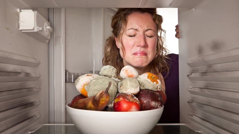 Emotion Wheel: What it is and How to Use it to Get to Know Yourself