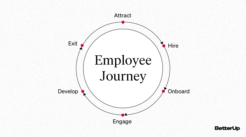 What is Employee Experience (EX) and Why Does it Matter?