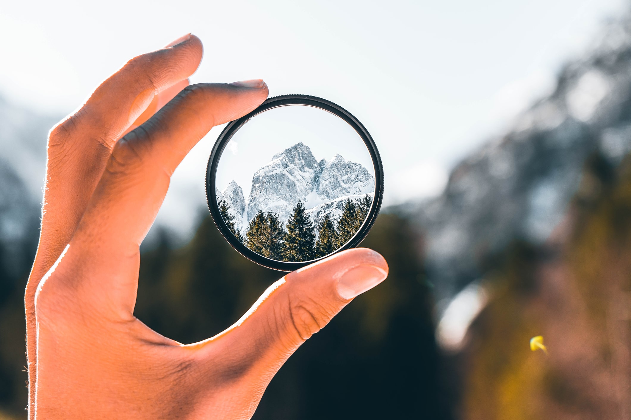 6 Factors That Promote Resilience: Face Challenges Head-on