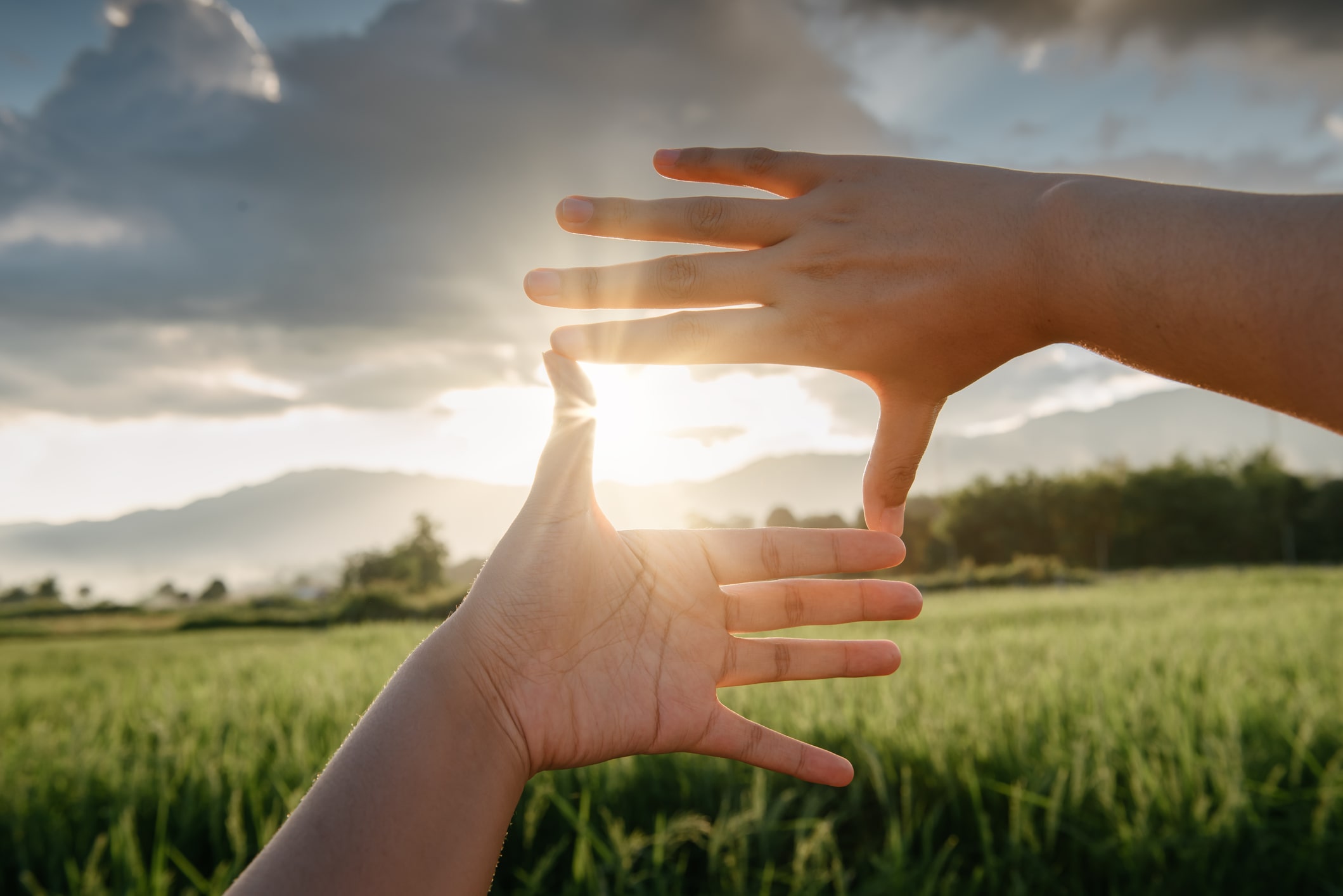 Purpose vs. Objective: Find Yours and Give Meaning to Your Tasks