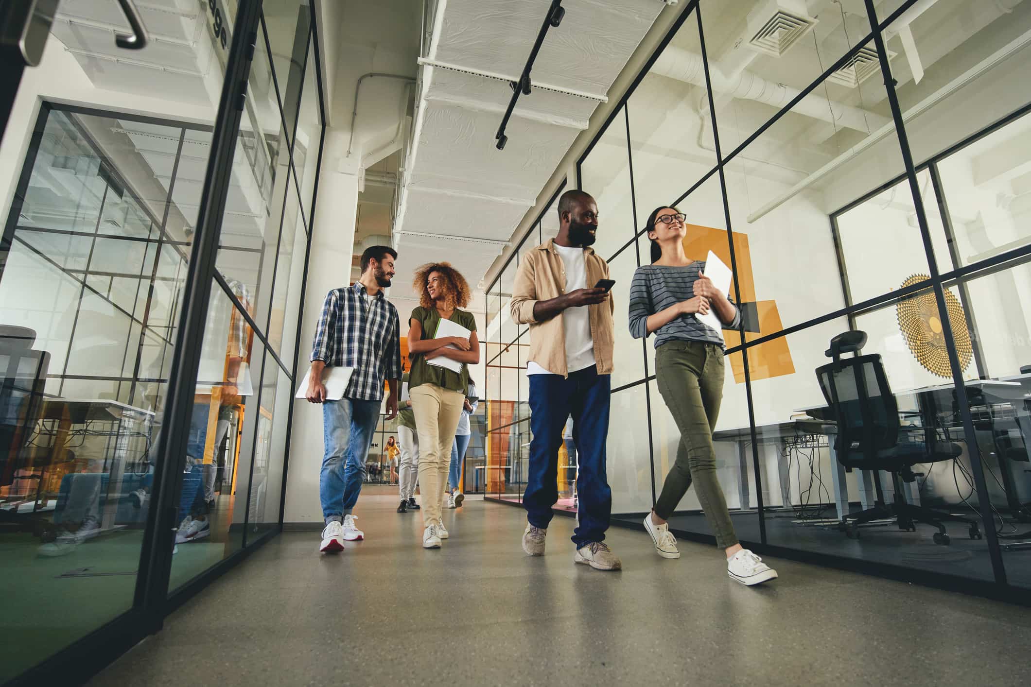 Apprentice Versus Intern: Learning The Key Differences